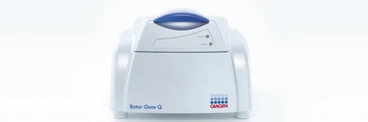 Real Time PCR Rotor-Gene Q 5plex HRM